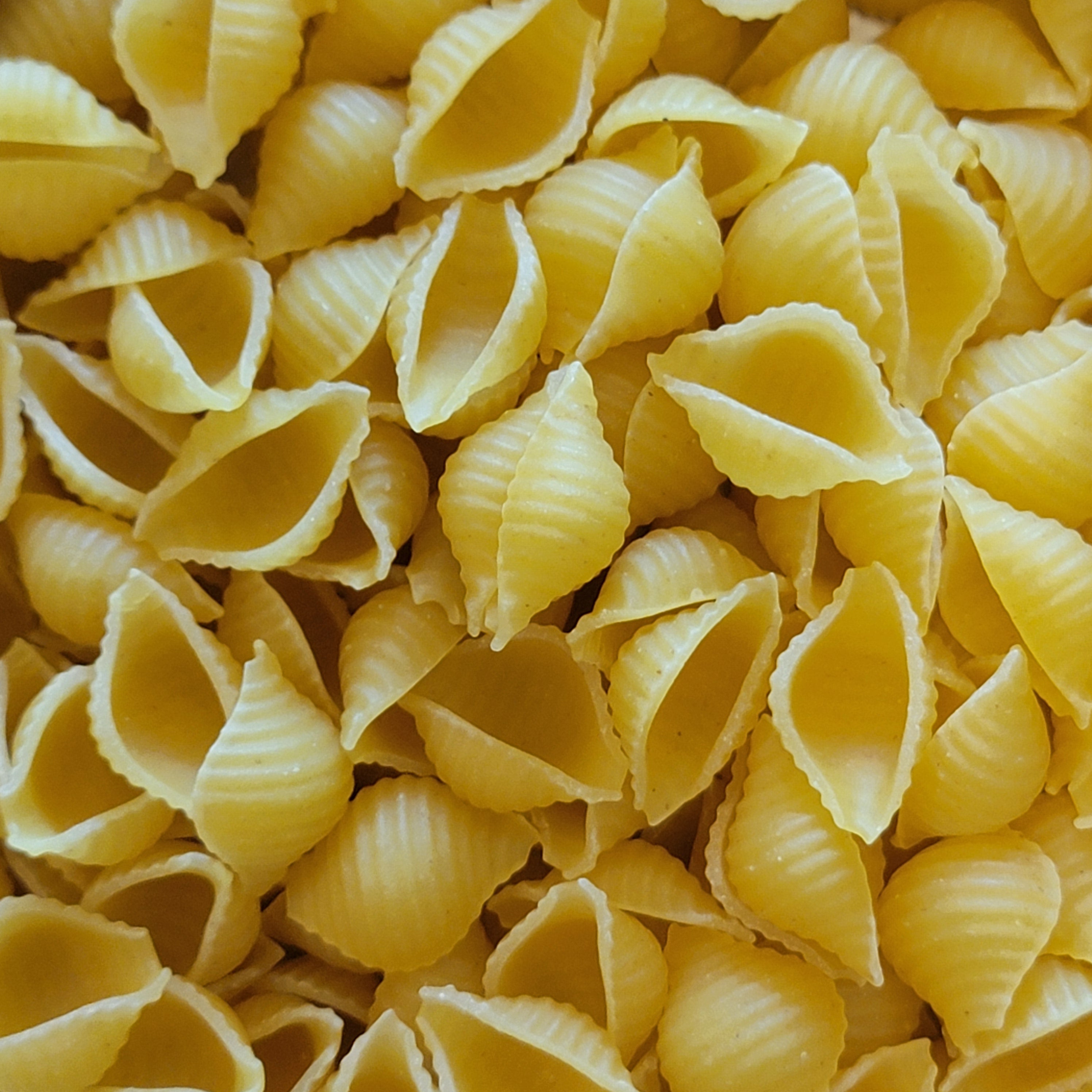 Enriched Small Pasta Shells – Mimi's Zero Waste Market